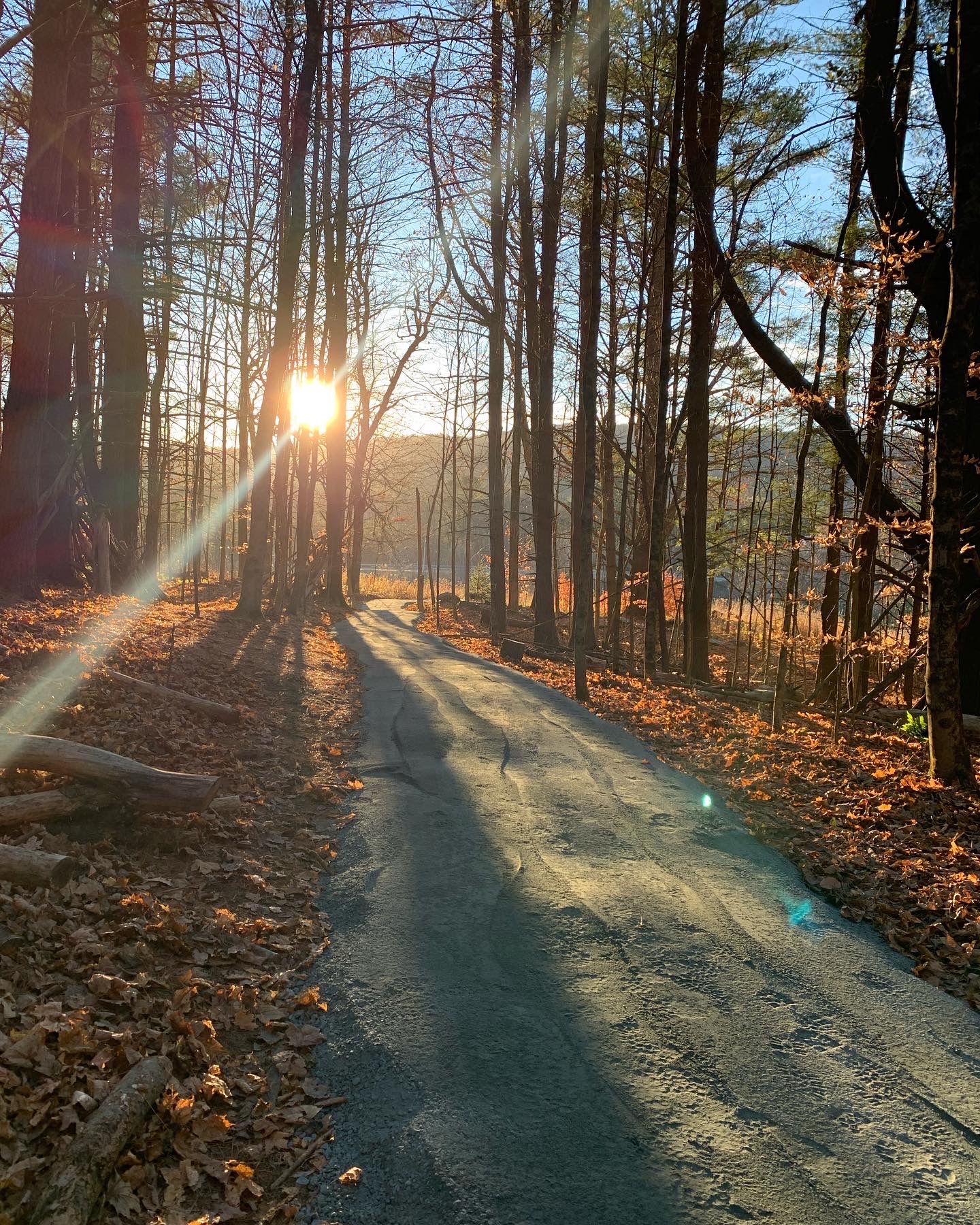 Norwich Nature Area Adds Accessible Trails to its Trail Network ...